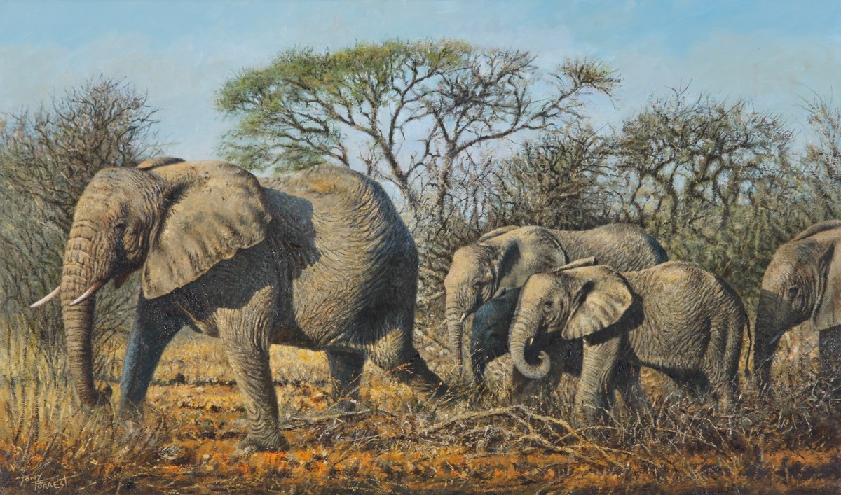 Tony Forrest | DeMontfort Fine Art